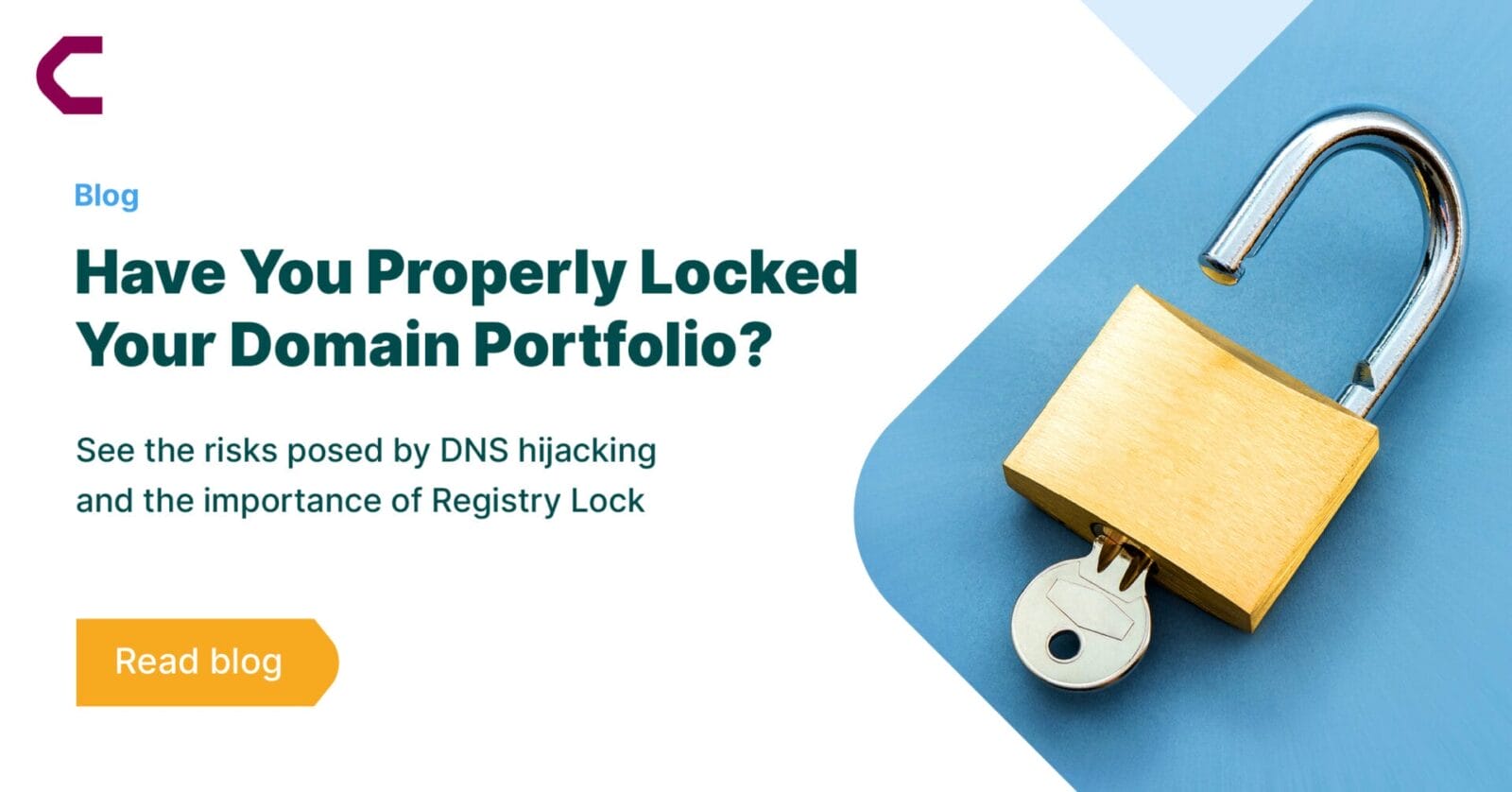 Have You Properly Locked Your Domain Portfolio? - Corsearch