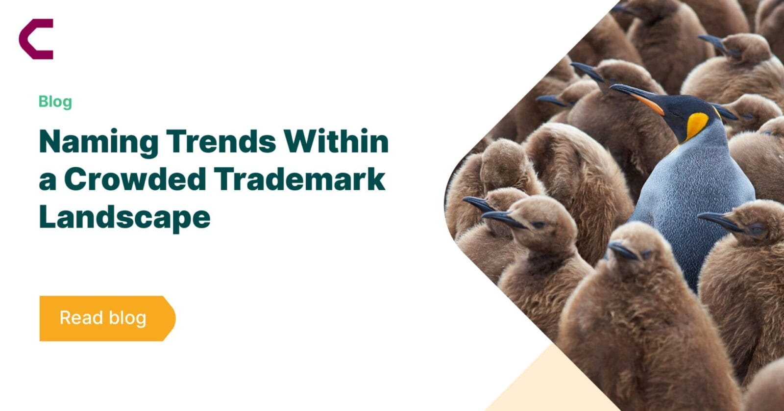 Naming Trends Within a Crowded Trademark Landscape - Corsearch
